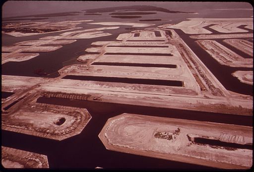 The Mackle Brothers – makers of modern Florida? | The Florida Squeeze