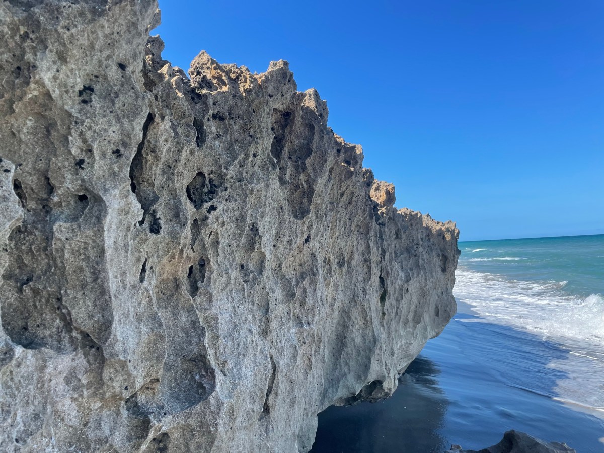 The Nature Conservancy’s Blowing Rocks Preserve | The Florida Squeeze