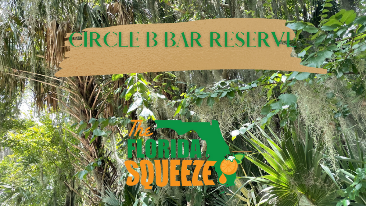 The Lost Bridge – a taste of old Florida at Circle B Bar Reserve | The ...