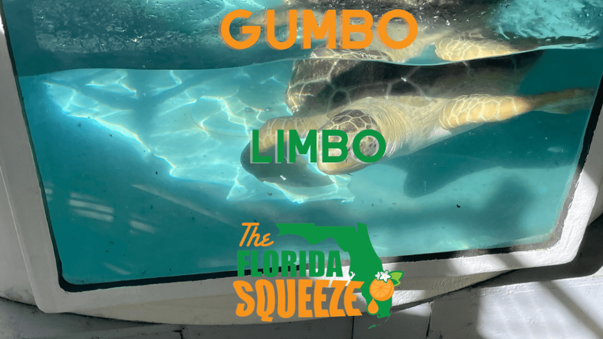 Around the Gumbo Limbo Nature Center and Turtle rehabilitation facility ...