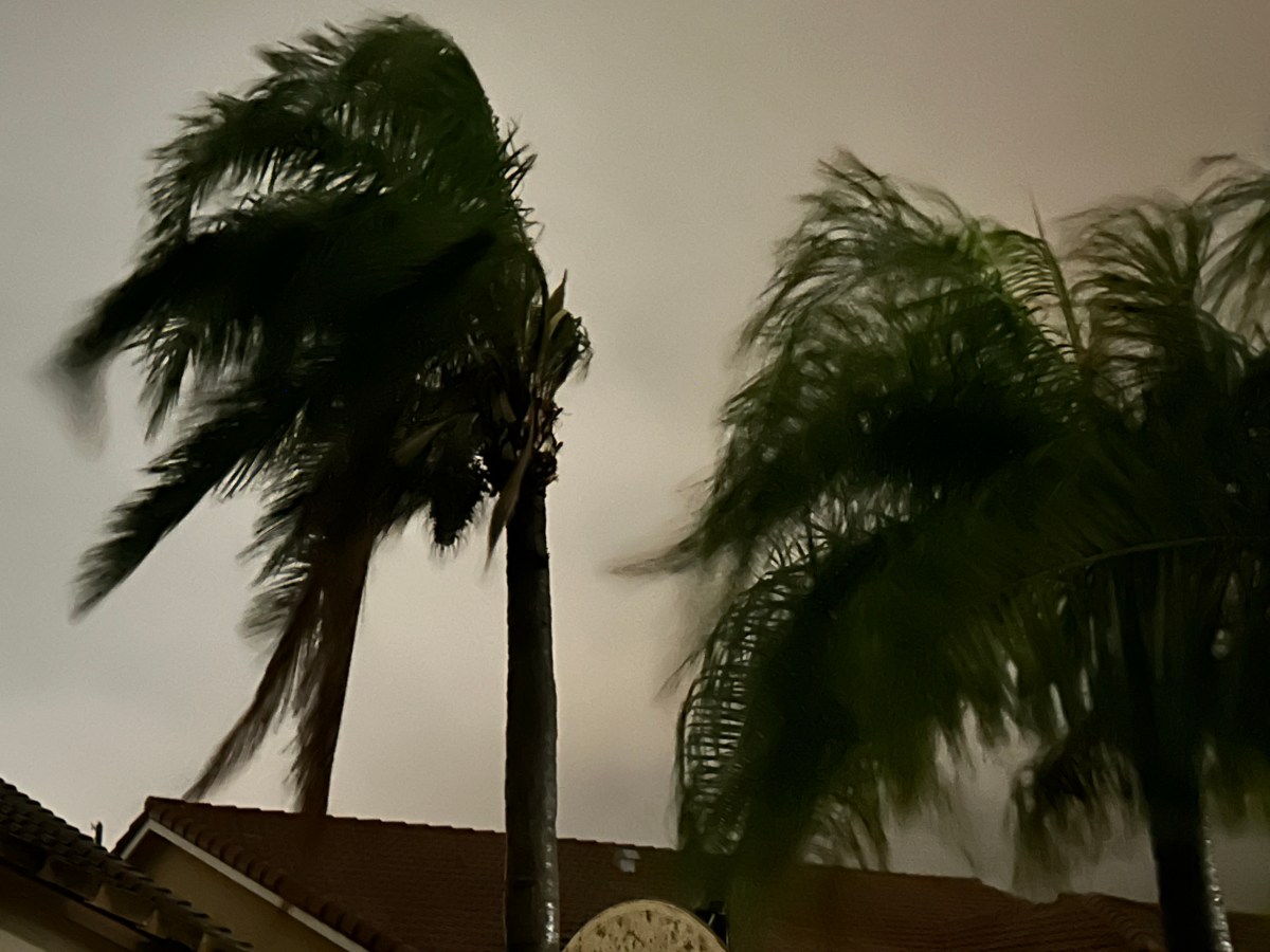 Nicole latest at 10 am ET | The Florida Squeeze