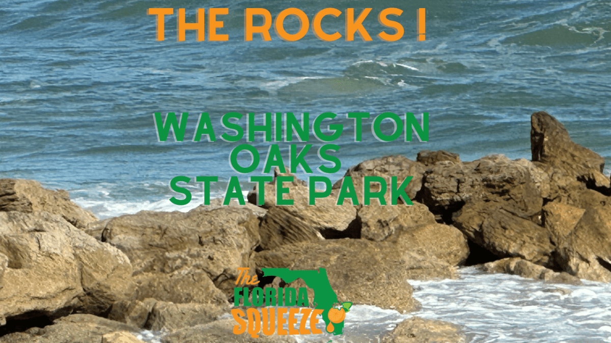 The Rocks! Florida’s Rocky Atlantic shorelines | The Florida Squeeze