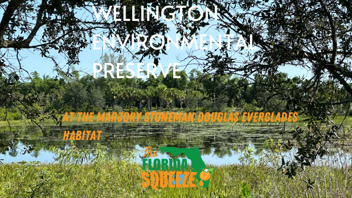 Wellington Environmental Preserve – overview | The Florida Squeeze