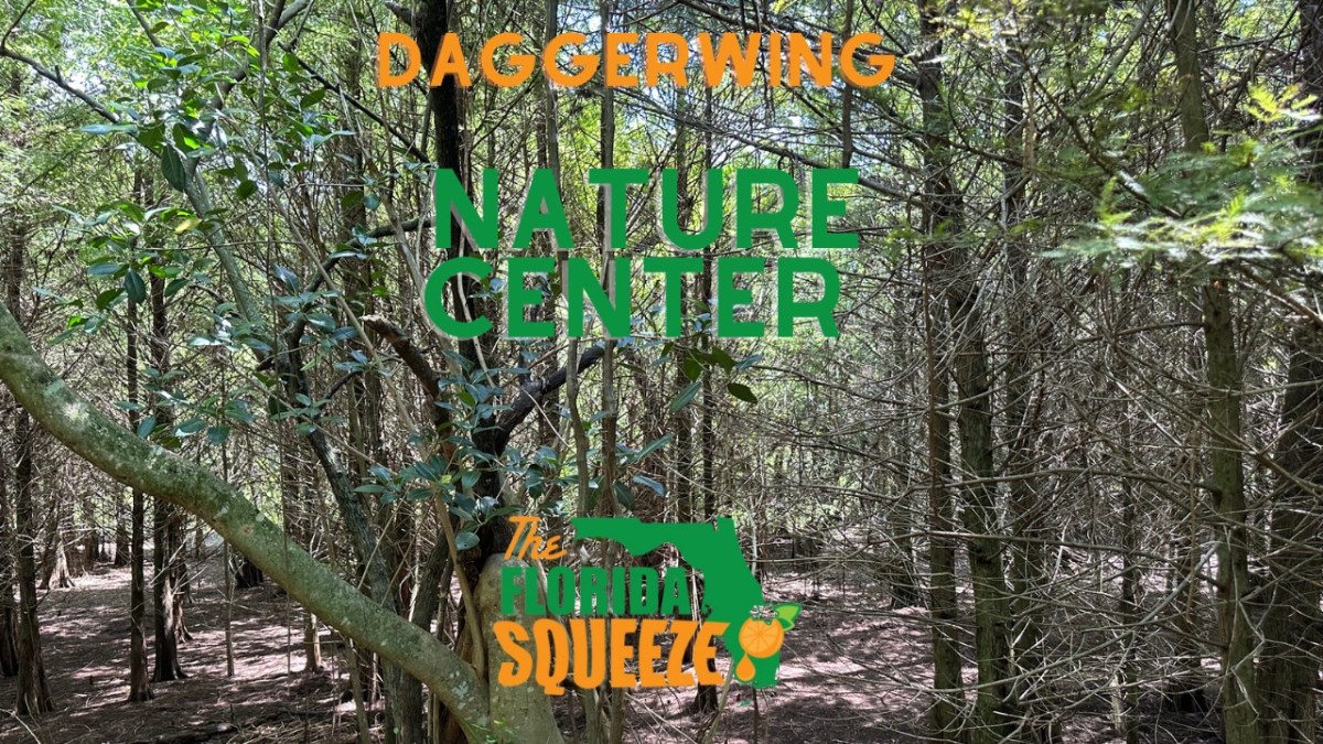 Daggerwing Nature Center | The Florida Squeeze
