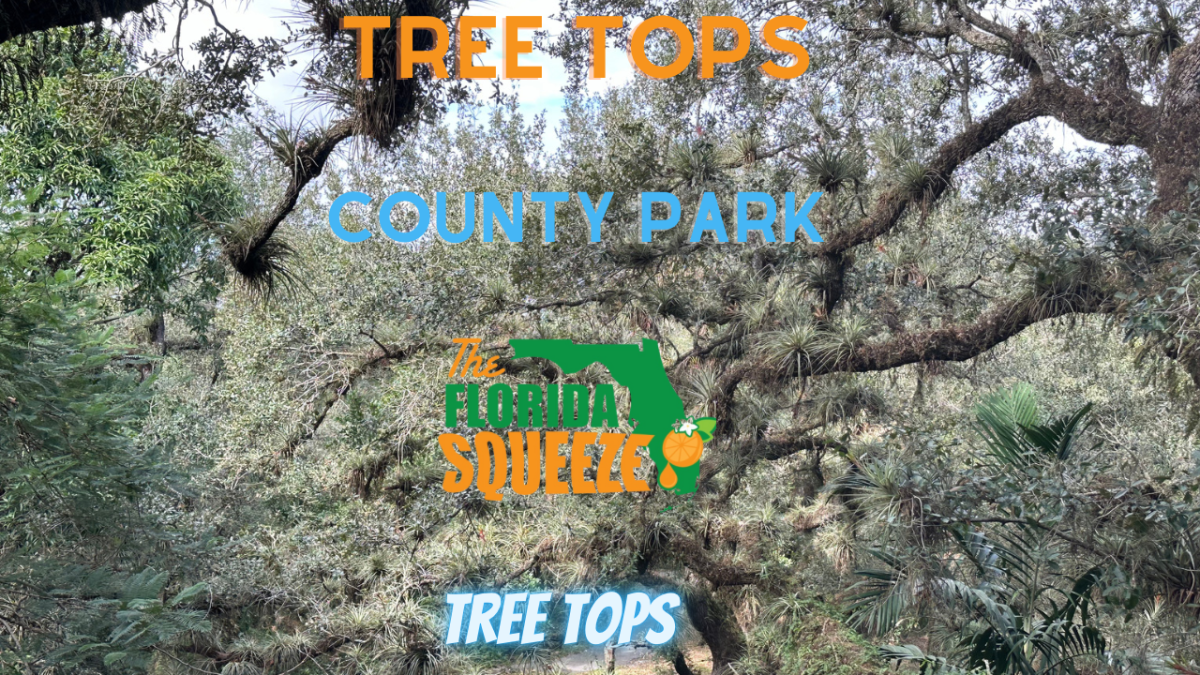 Tree Tops @ Tree Tops Park | The Florida Squeeze