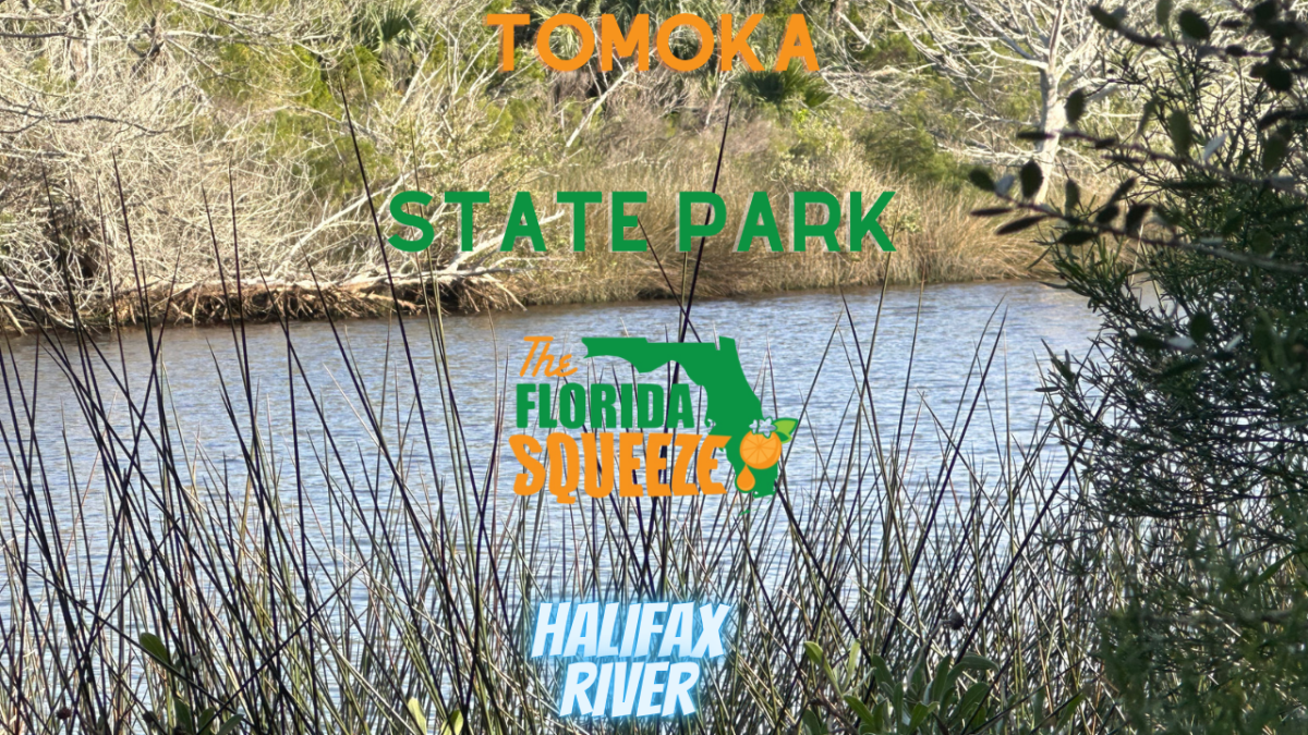 Halifax River at Tomoka State Park | The Florida Squeeze