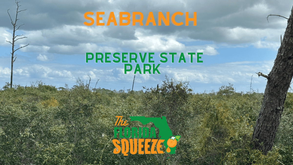 Seabranch Preserve State Park | The Florida Squeeze