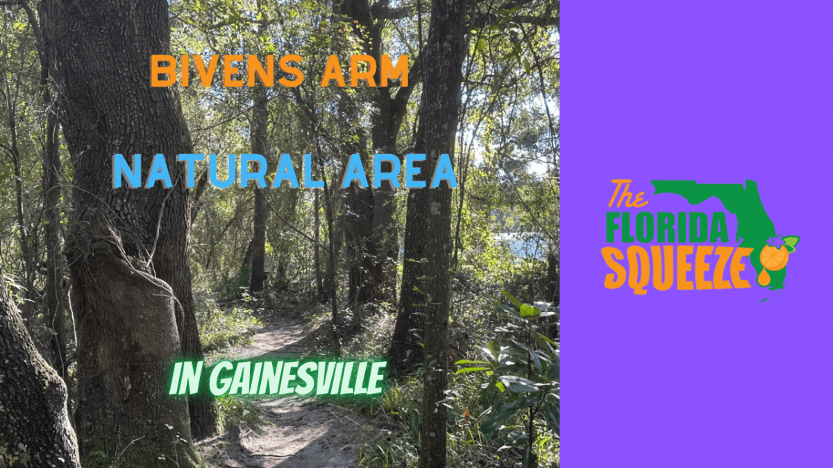 Bivens Arm Natural Area | The Florida Squeeze
